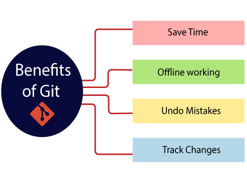 Terminal / Git / Github